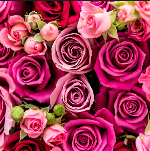 Valentine's Day – Piper Lillies Gift Shoppe