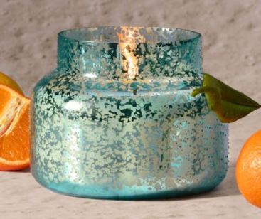 Capri Blue CB 990-VOL 19oz Aqua Opaline Signature, Volcano – Piper ...