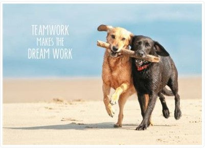 Design Design DD 100-61980 Thank You Teamwork Dogs – Piper Lillies Gift ...